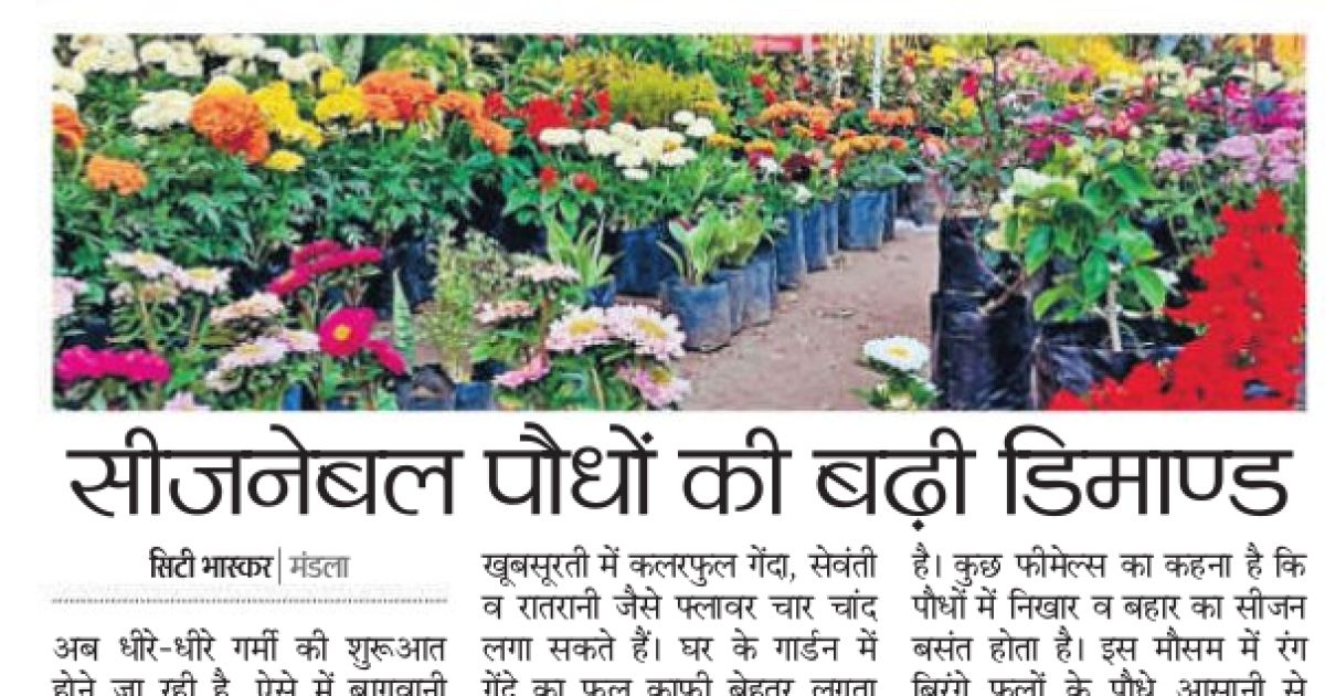 Clipping of Dainik Bhaskar Jabalpur Nagpur Group - जबलपुर